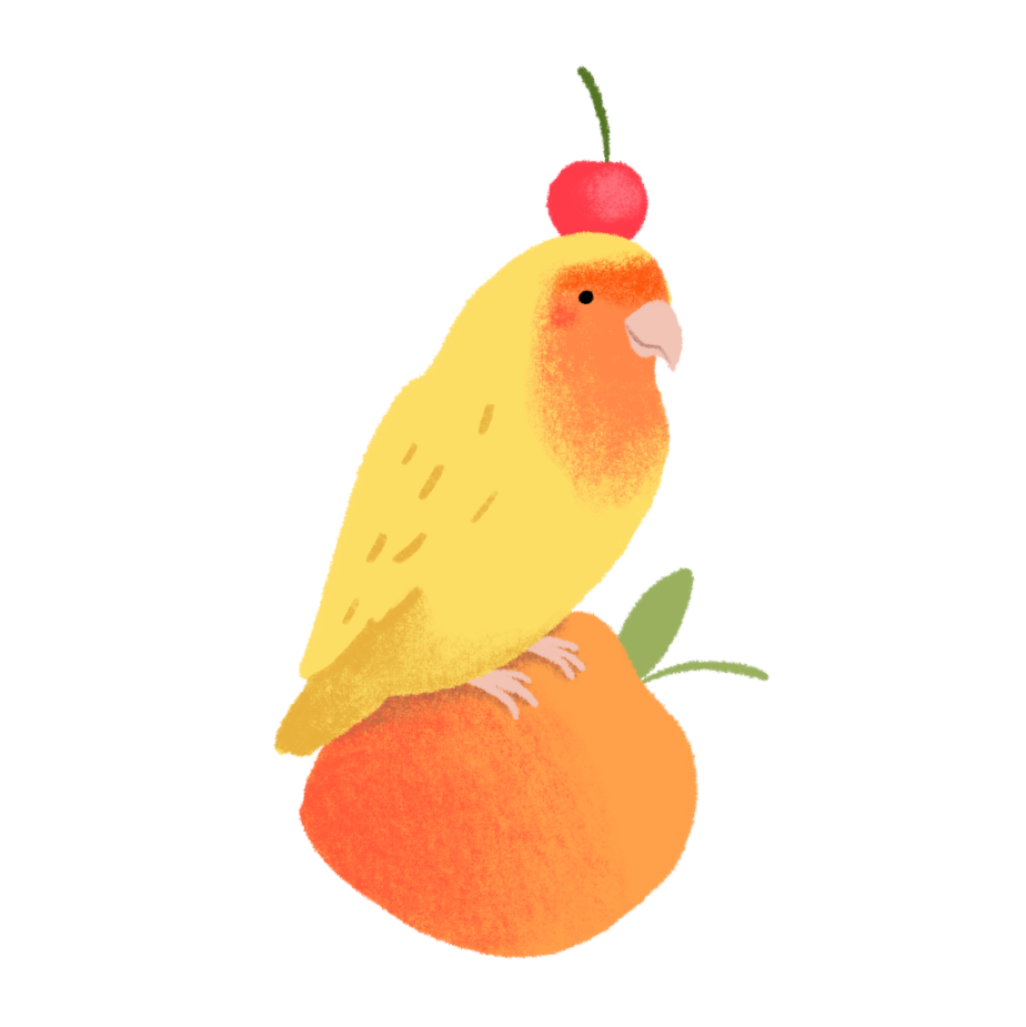Fruit Salad Parrot – Alexis Rawlins